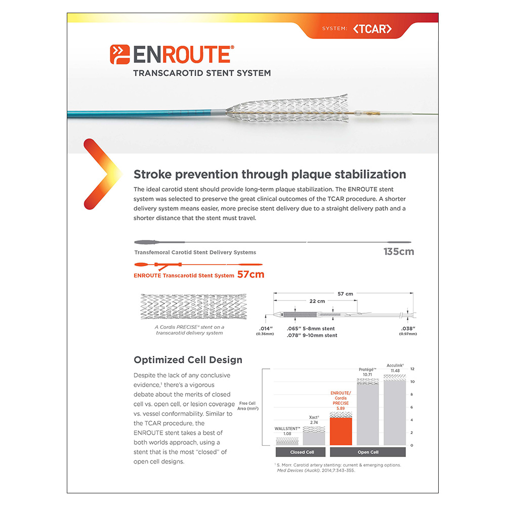 ENROUTE Stent and Long-Term Results Brochure | SRM-053
